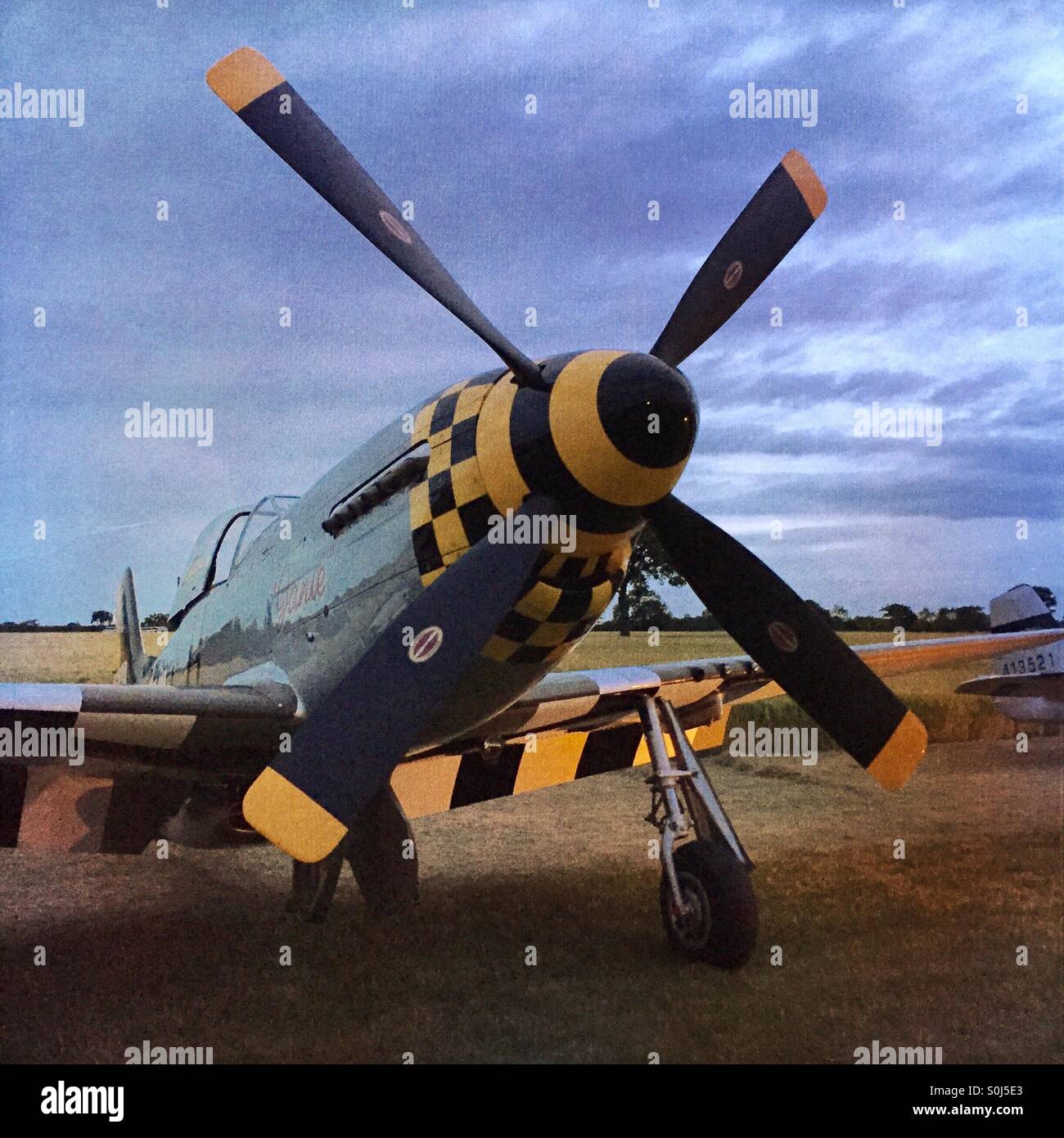 Mustang fighter plane Stock Photo - Alamy