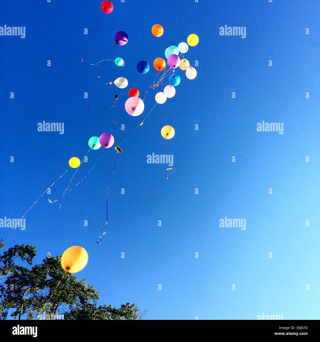 Balloons released in memory of a deceased friend and family member ...