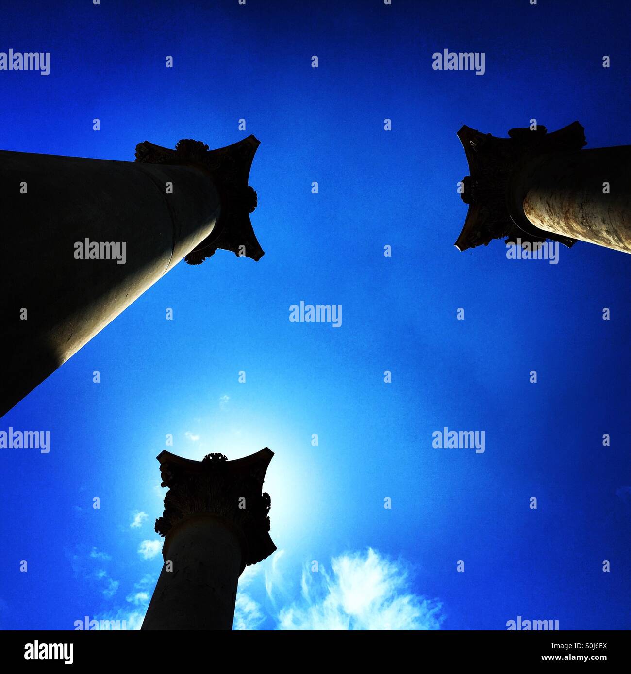 U.S. Capitol columns at the National Arboretum Stock Photo - Alamy