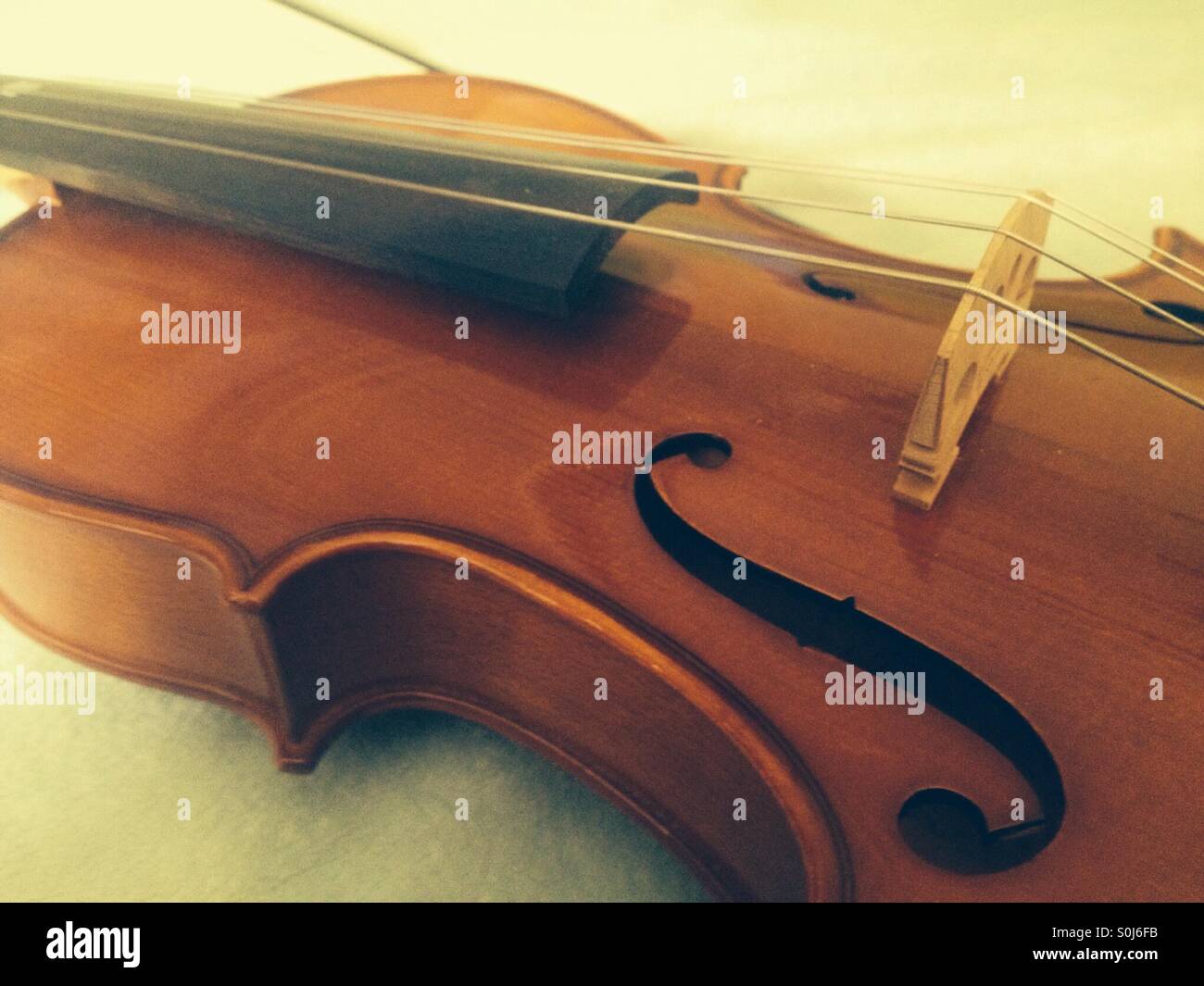 Viola violin hi-res stock photography and images - Alamy