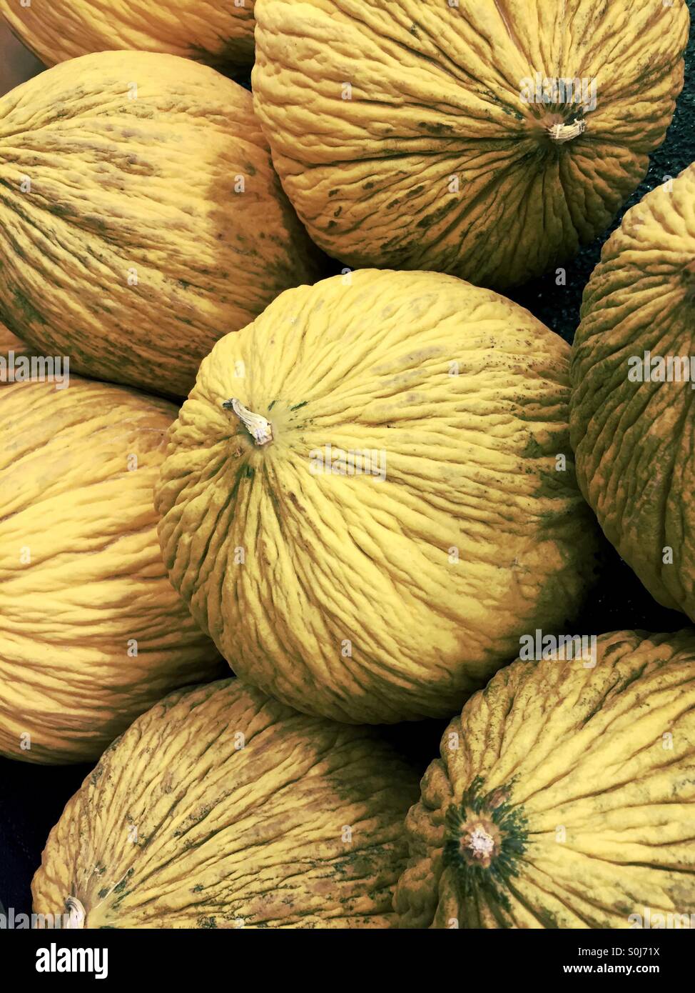 Casaba melons in the produce section of the grocery store, USA Stock ...