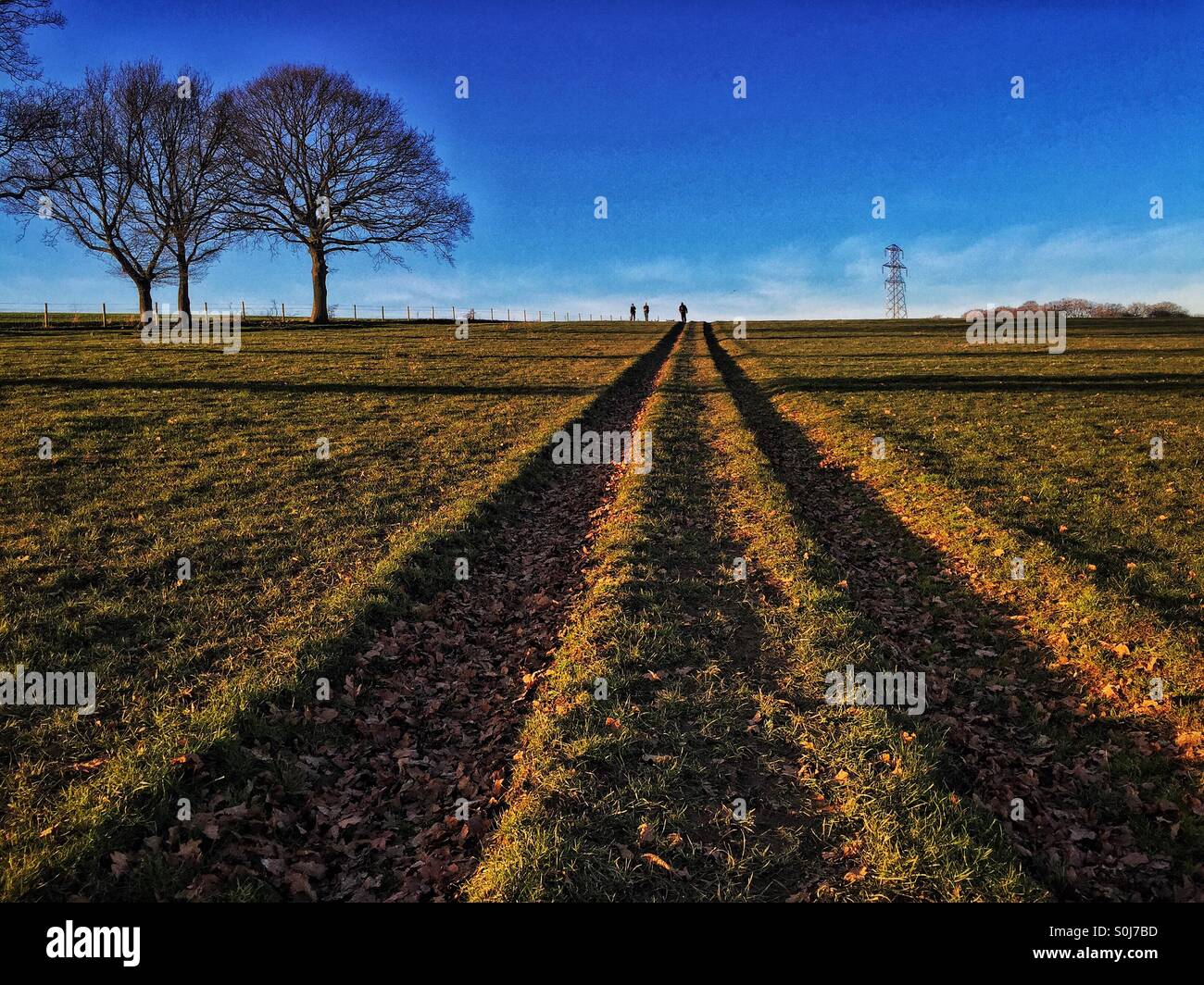 Farm tracks hi-res stock photography and images - Alamy