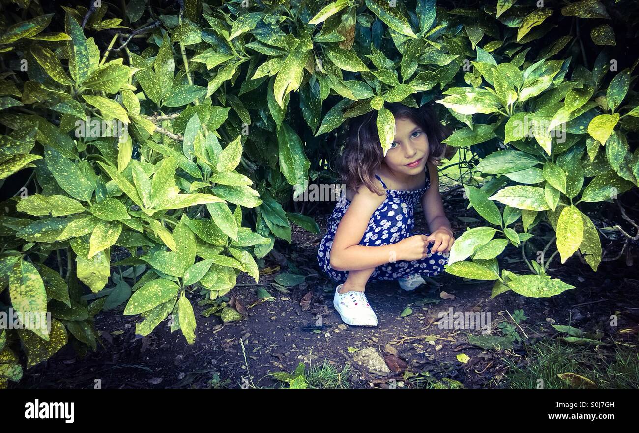Hiding In The Bushes