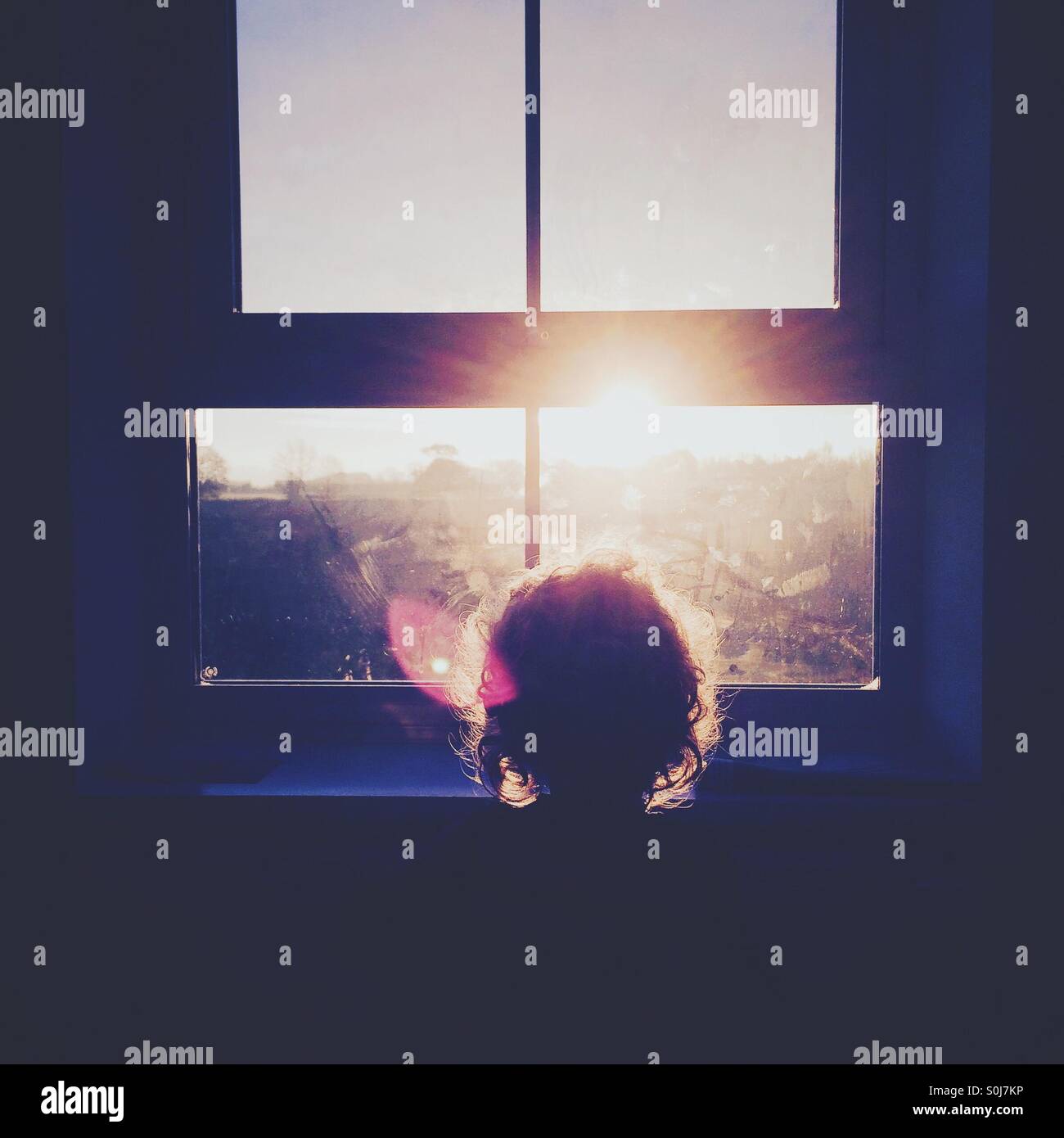 Sunlight Through Window High Resolution Stock Photography and Images ...