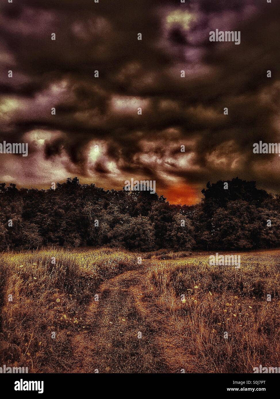 Crazy sunset hi-res stock photography and images - Alamy