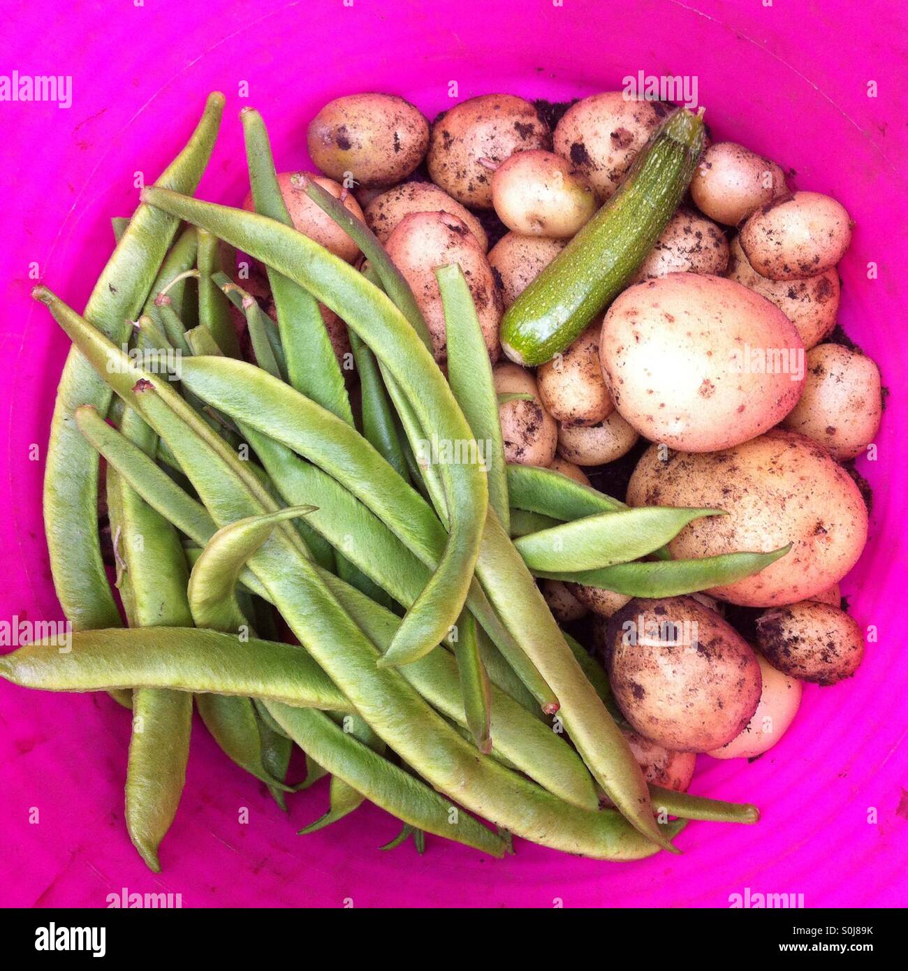 Veg in pink bucket Stock Photo - Alamy