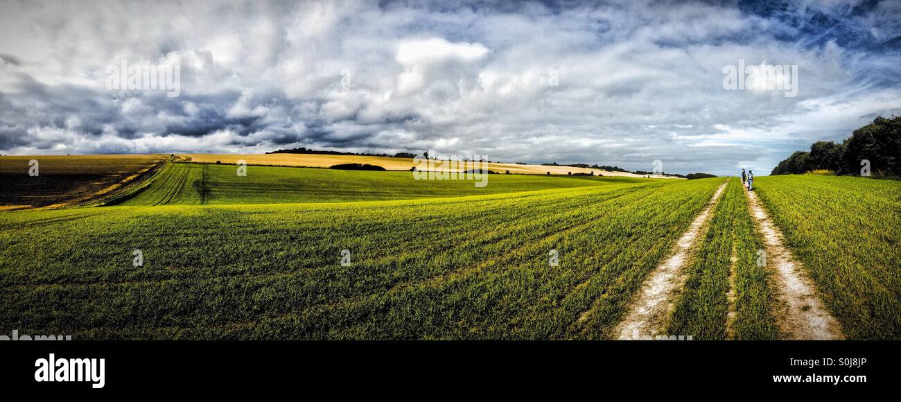 Brockhill farm hi-res stock photography and images - Alamy
