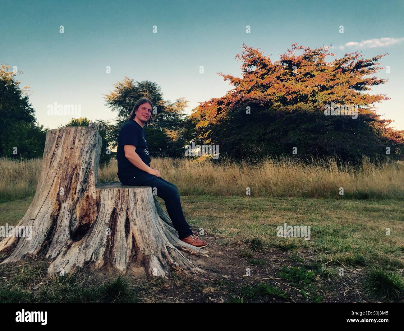 Tree stump chair hi-res stock photography and images - Alamy