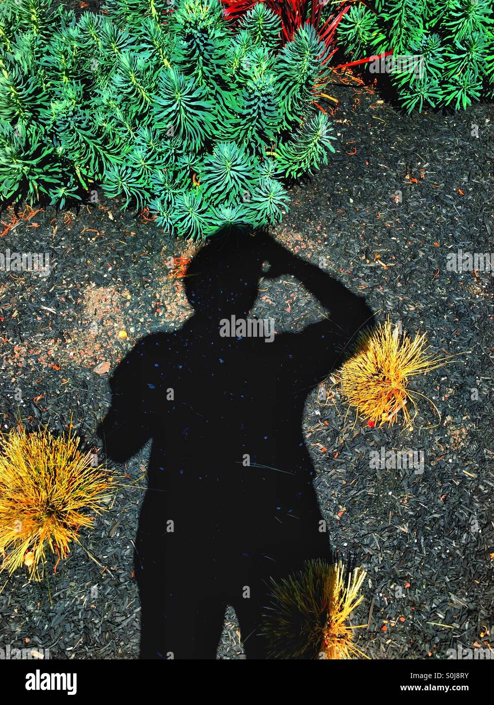 Selfie shadow hi-res stock photography and images - Alamy