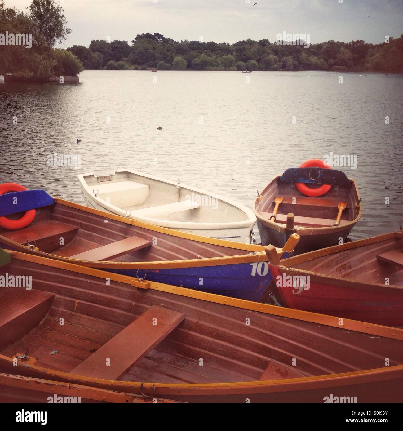 Rowing boats, Petersfield lake, Hampshire, England, United Kingdom ...