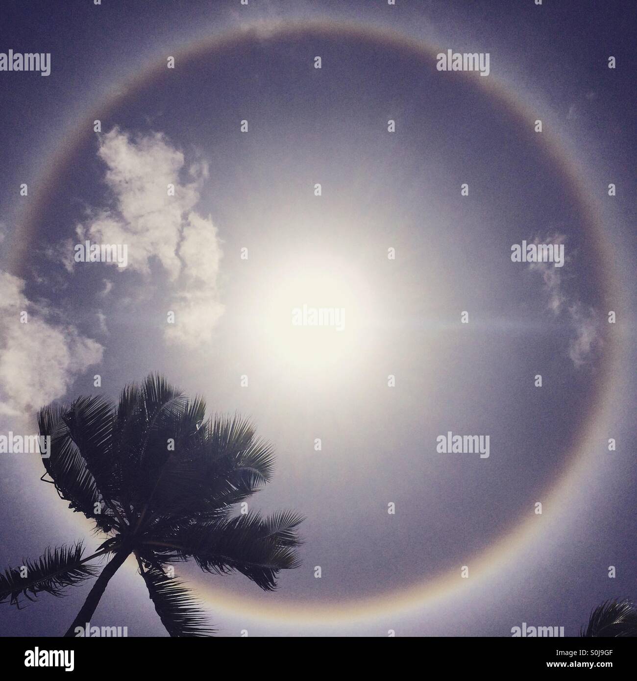 Amazing sun circle Stock Photo - Alamy