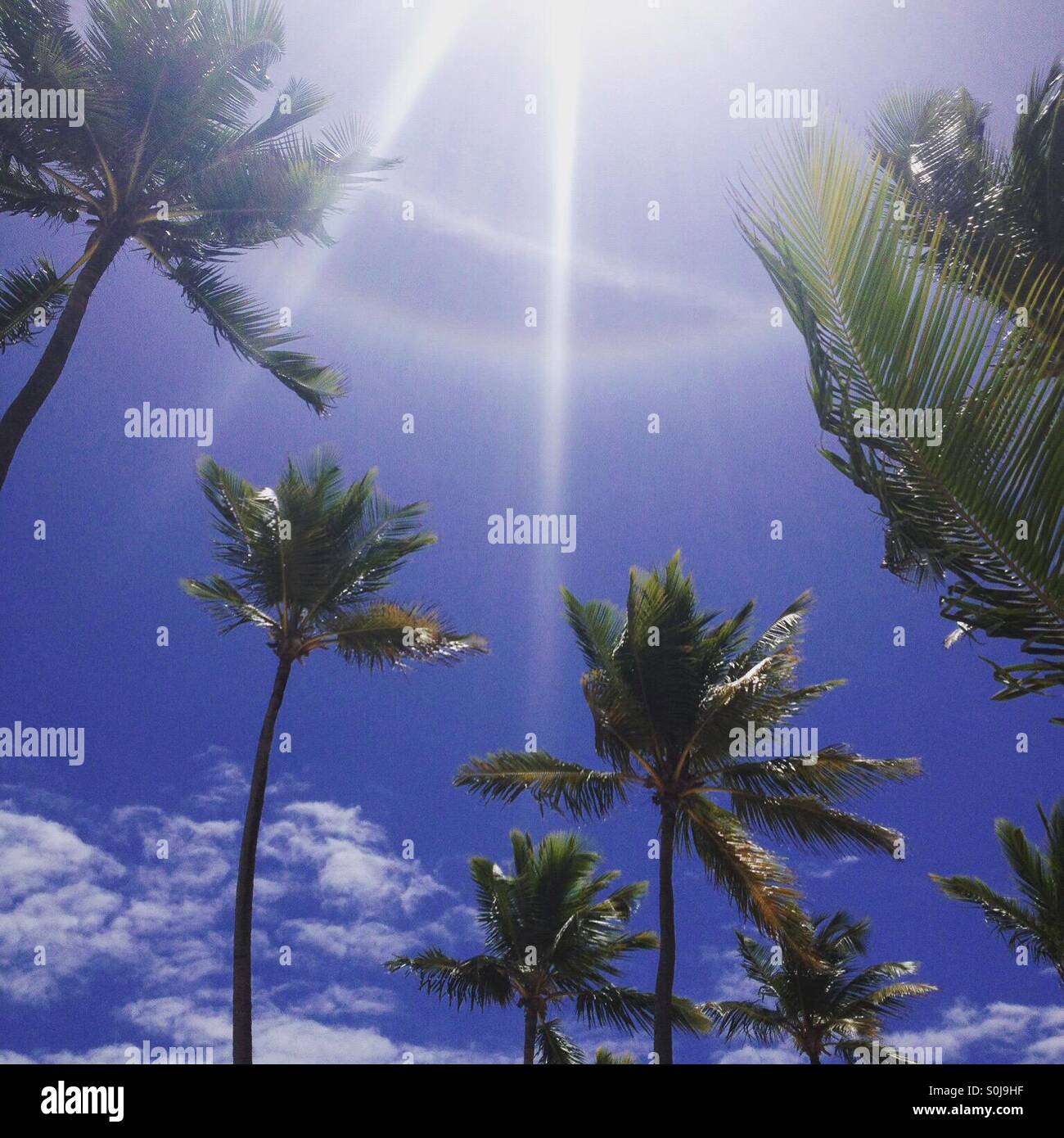 Glorious sun hi-res stock photography and images - Alamy