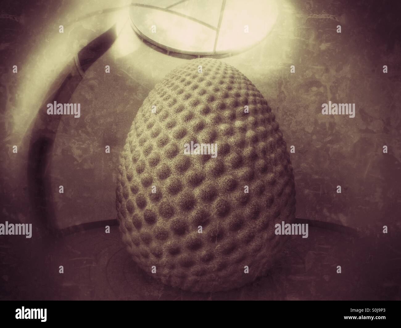 Seed sculpture hi-res stock photography and images - Alamy