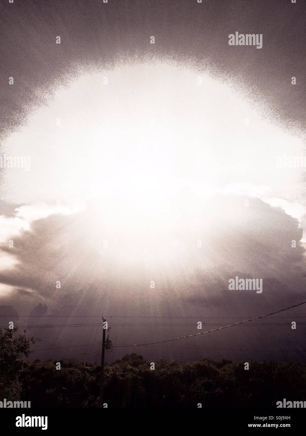 Power lines and trees against gray clouds Stock Photo - Alamy