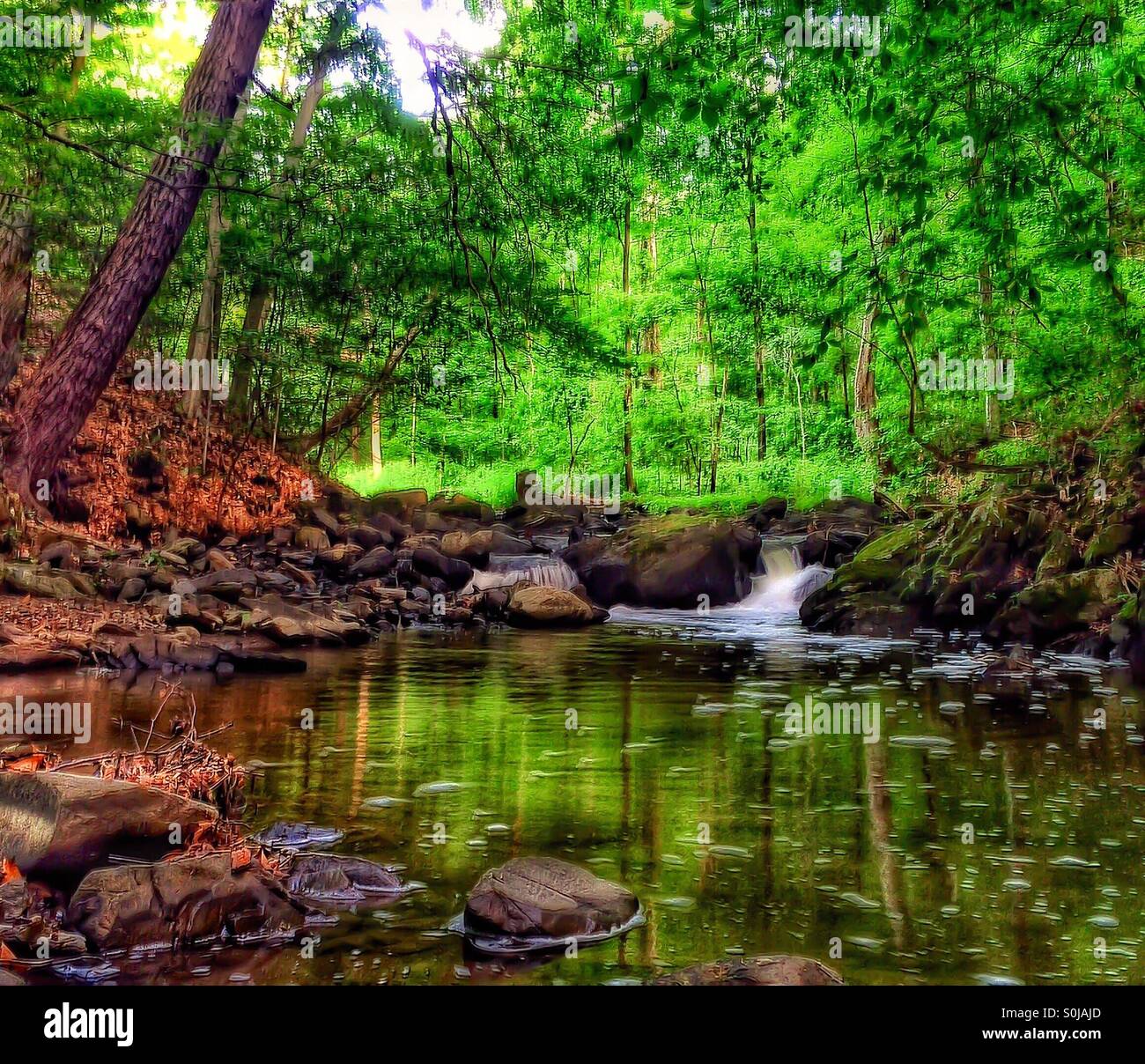 Mellow colors hi-res stock photography and images - Alamy