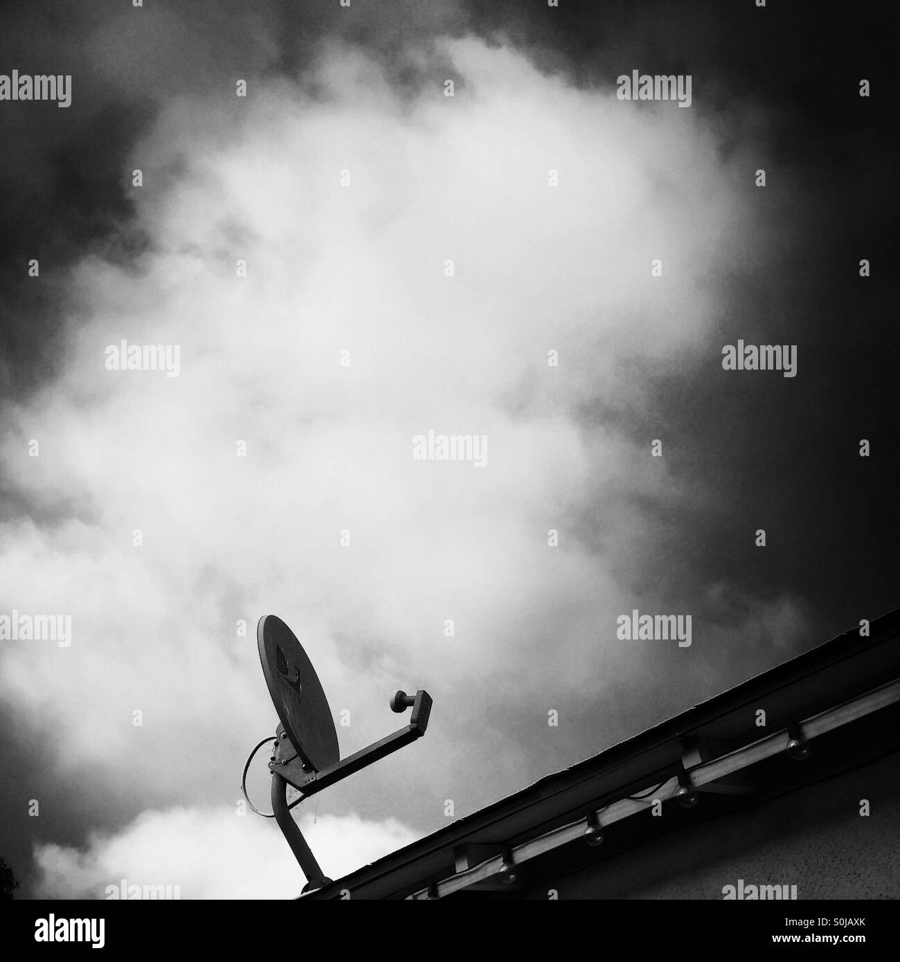 dish Black and White Stock Photos & Images - Alamy