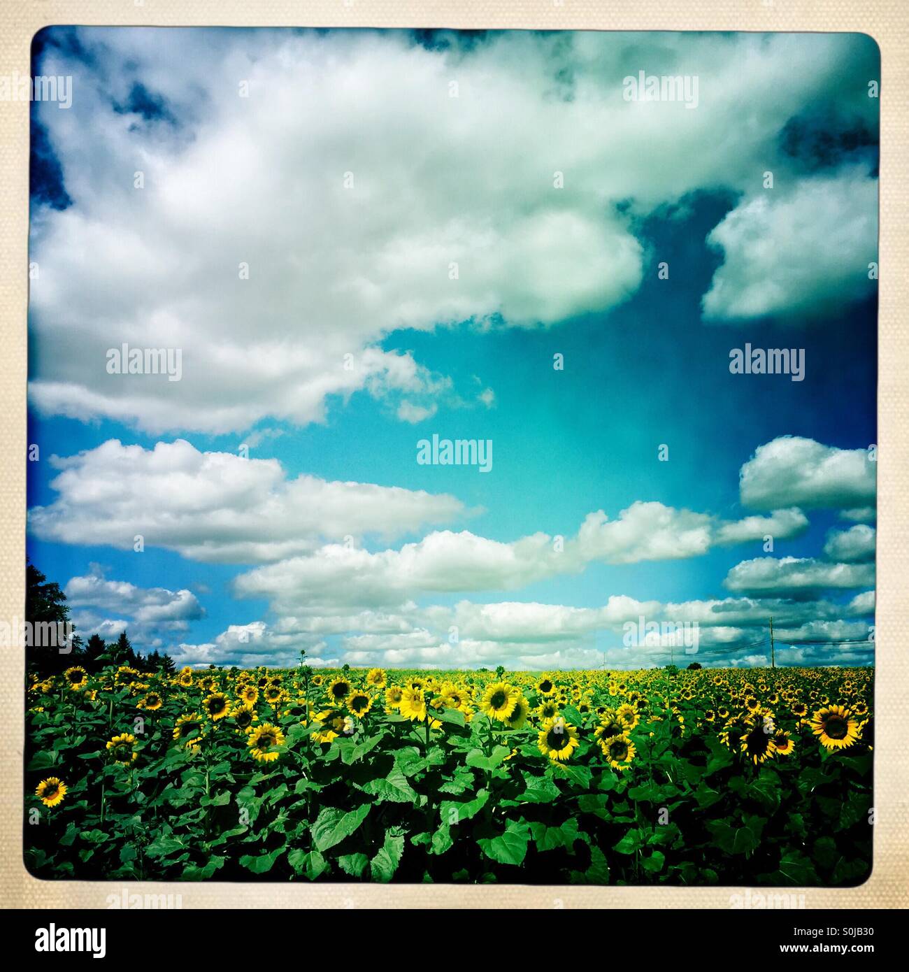 A beautiful summer day Stock Photo - Alamy