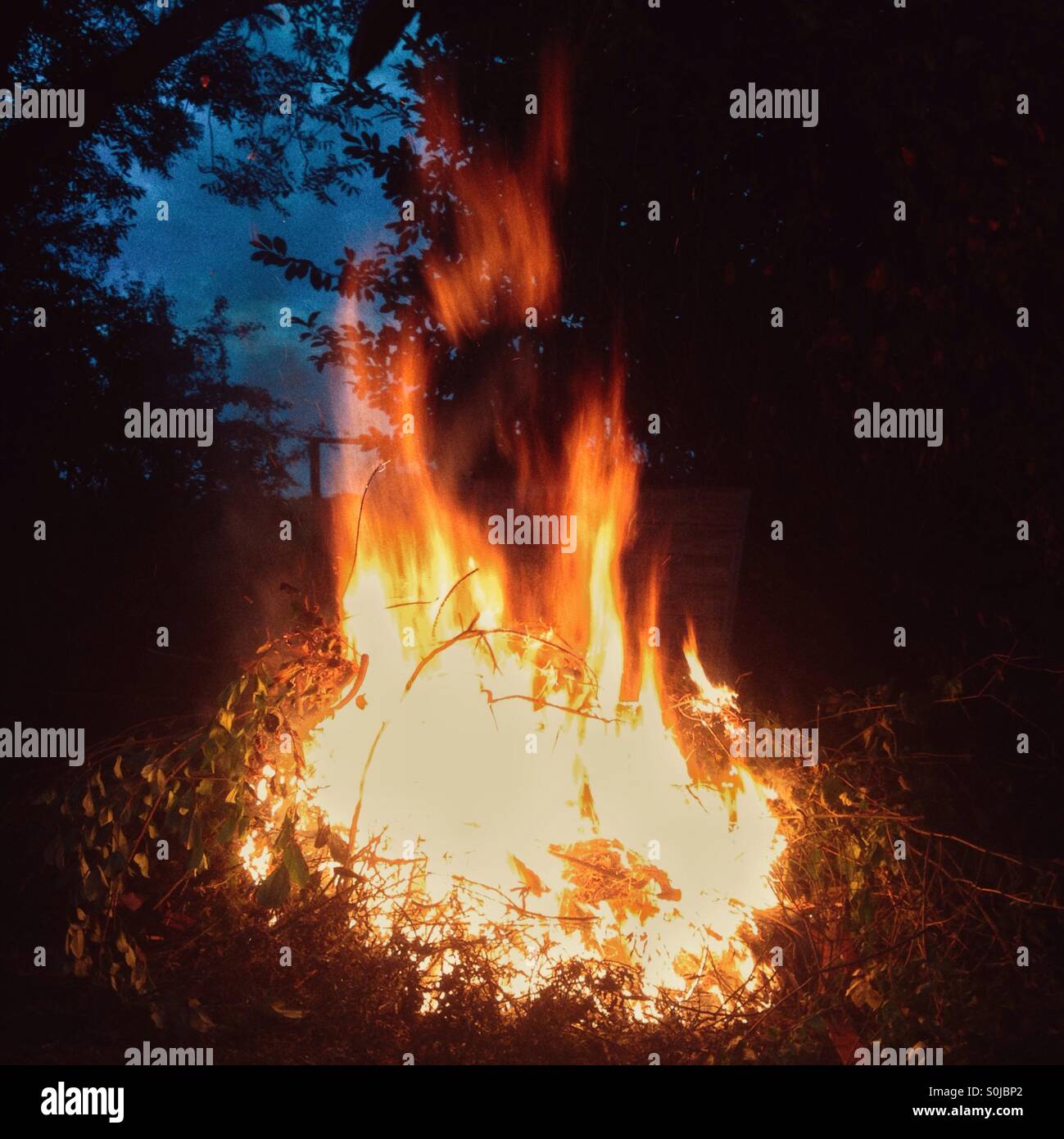 Heat your garden hi-res stock photography and images - Alamy