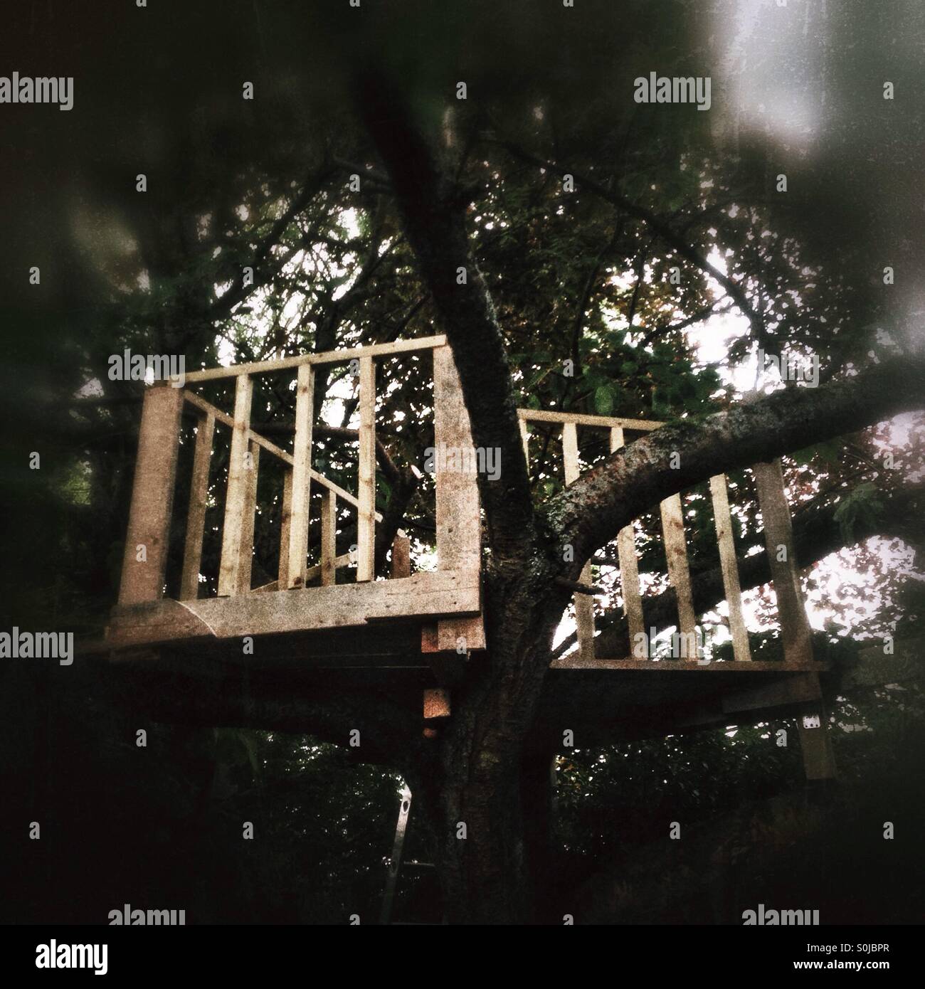 Treehouse for kids hi-res stock photography and images - Alamy