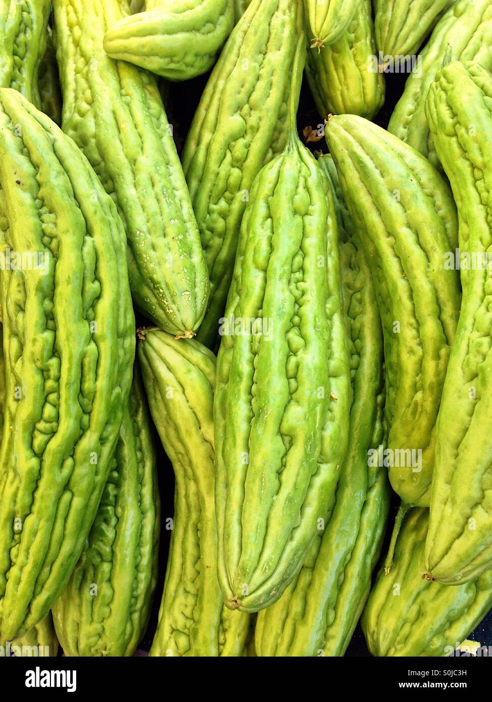 Pickled snake hi-res stock photography and images - Alamy