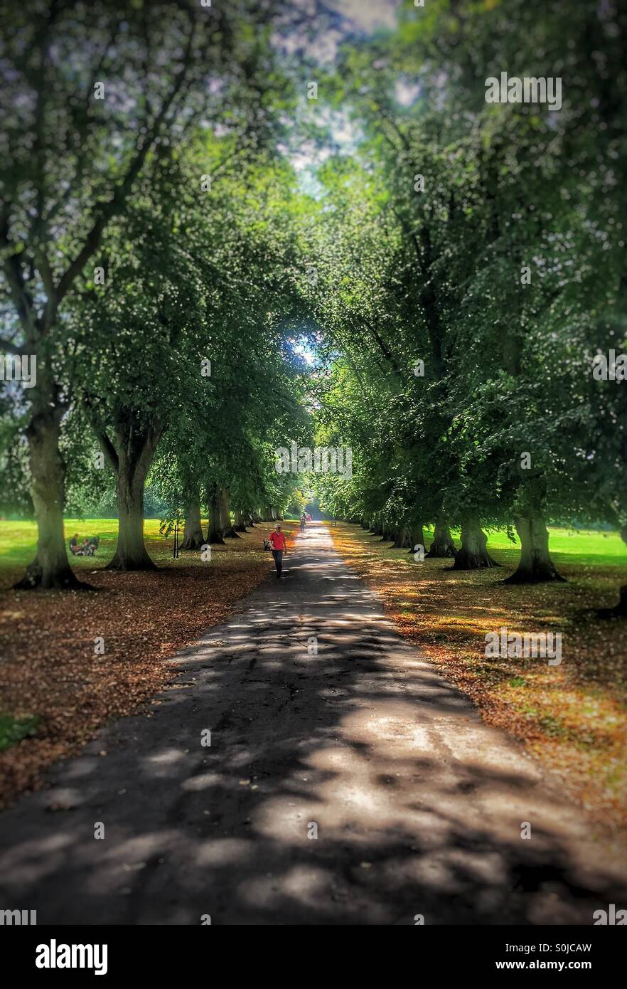 Walk through the park Stock Photo - Alamy
