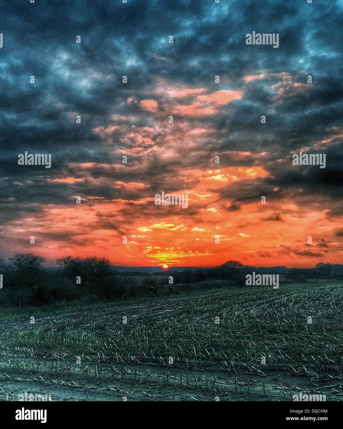 Red sky field hi-res stock photography and images - Alamy