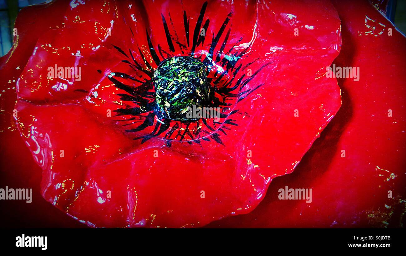 Ceramic poppy hi-res stock photography and images - Alamy