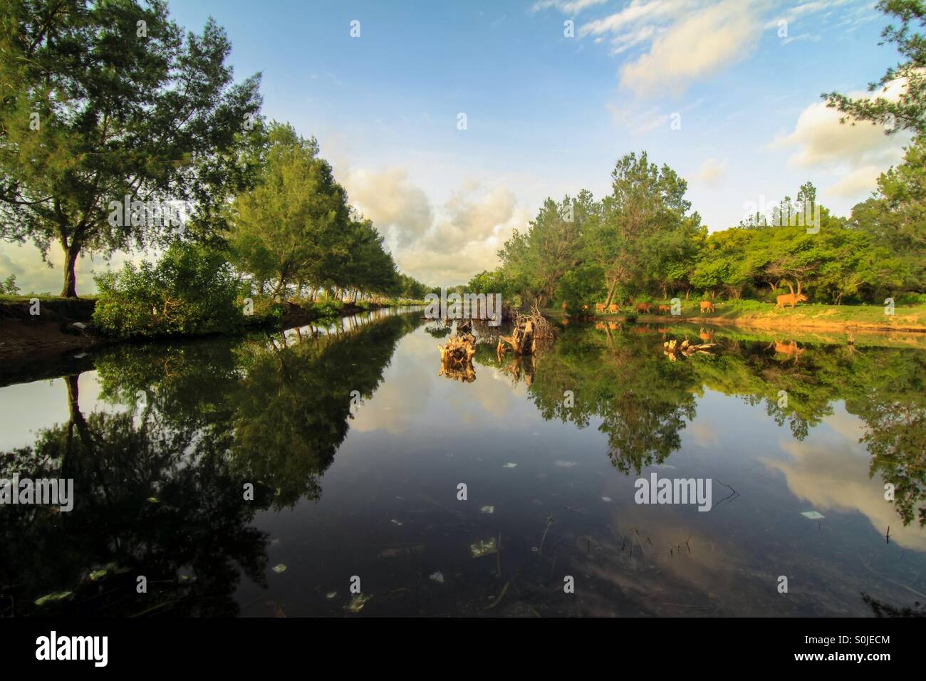 The mirror of the river hi-res stock photography and images - Alamy