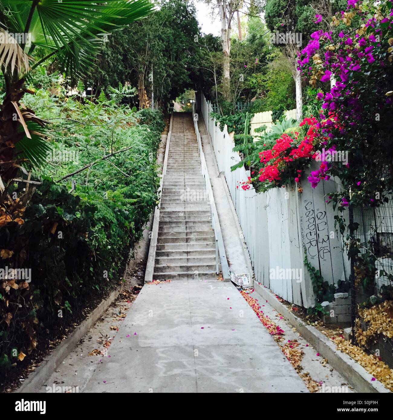 Path stairway hi-res stock photography and images - Alamy