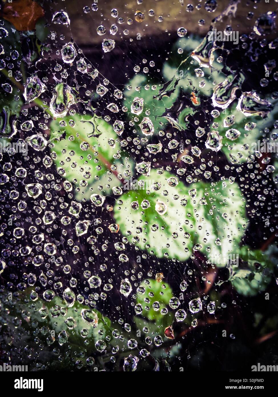 Vertical pattern of rain hi-res stock photography and images - Alamy