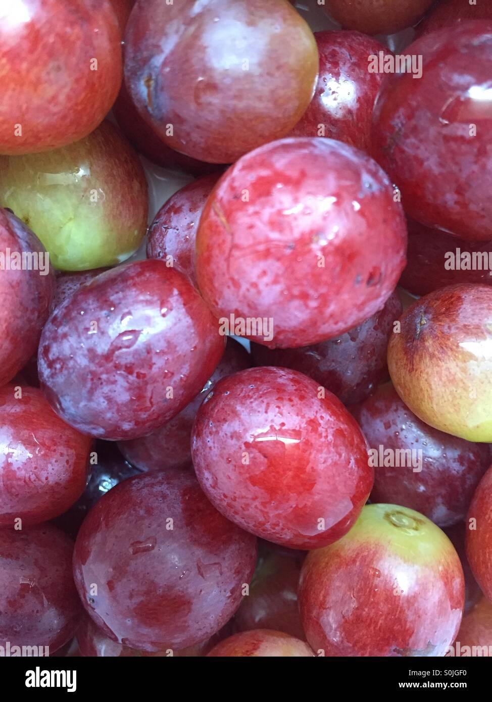Seedless grapes hi-res stock photography and images - Alamy Seedless grapes hi-res stock photography and images - Alamy