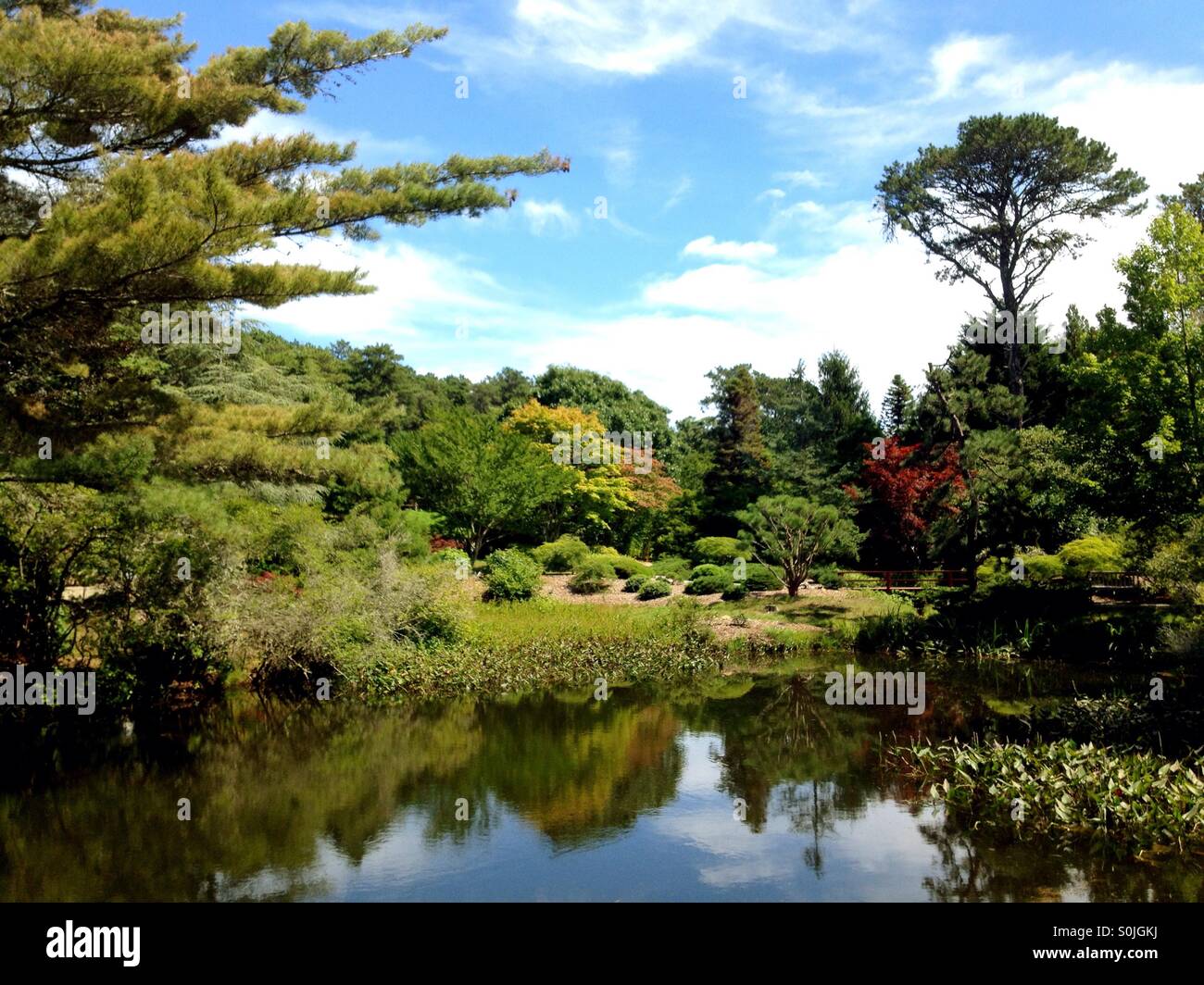 Scenery at Mytoi Garden Martha's Vineyard Stock Photo - Alamy