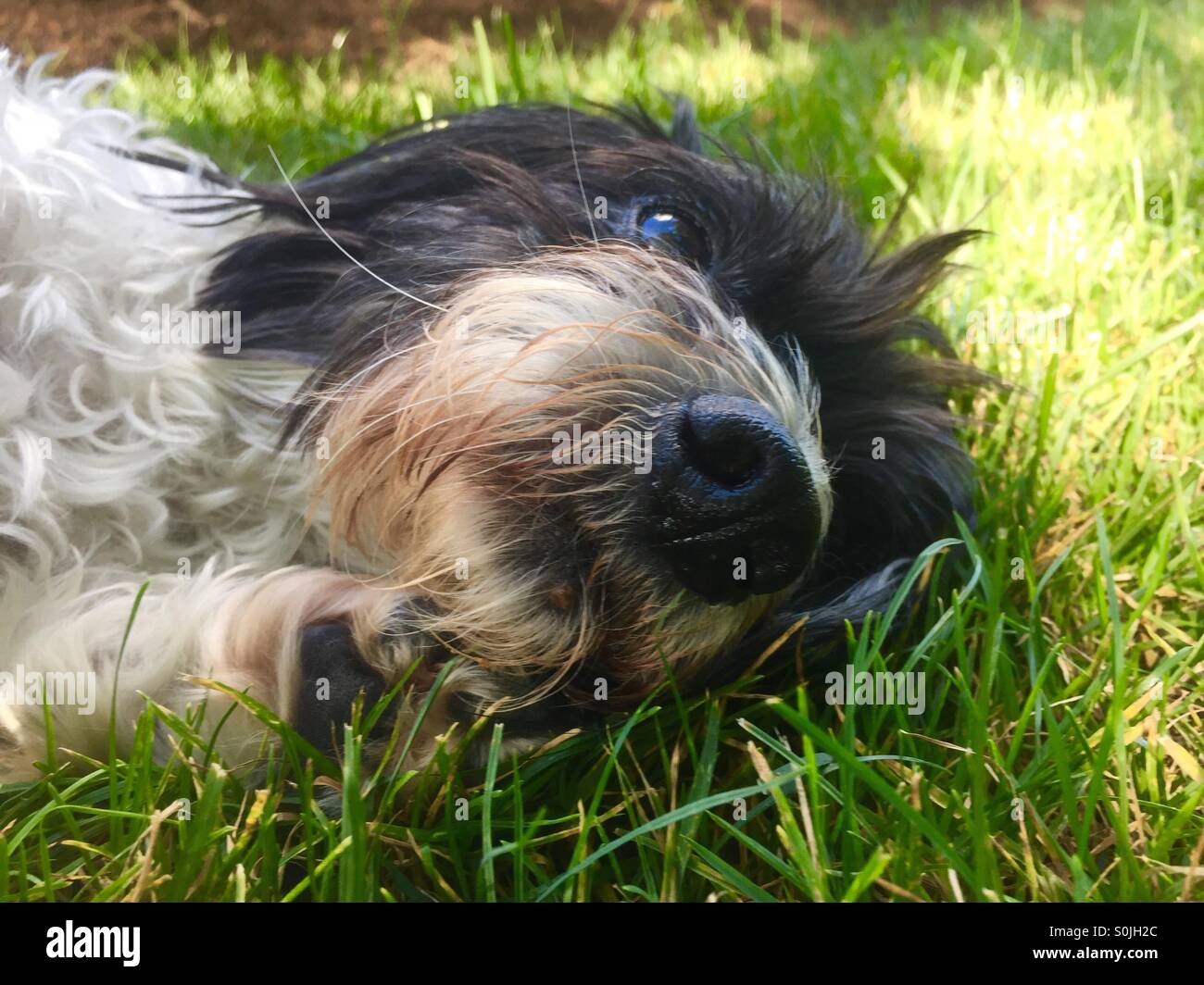 Nature is lazy hi-res stock photography and images - Alamy