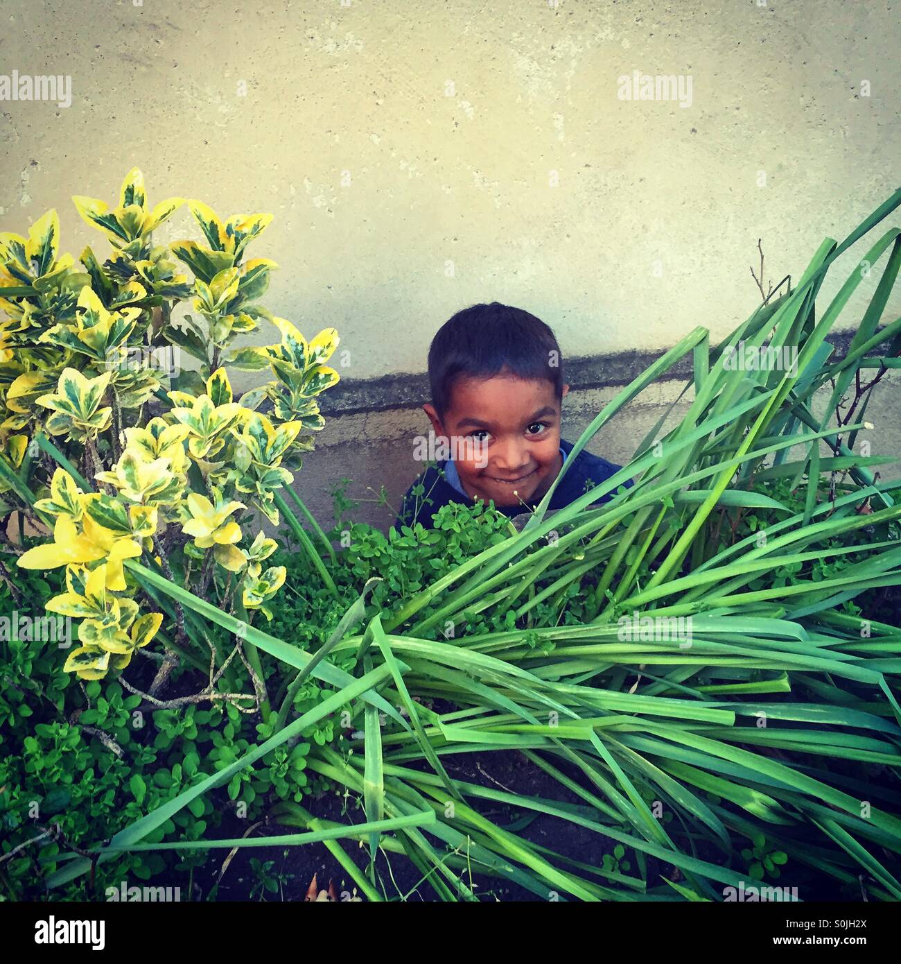 Kid hide hi-res stock photography and images - Alamy
