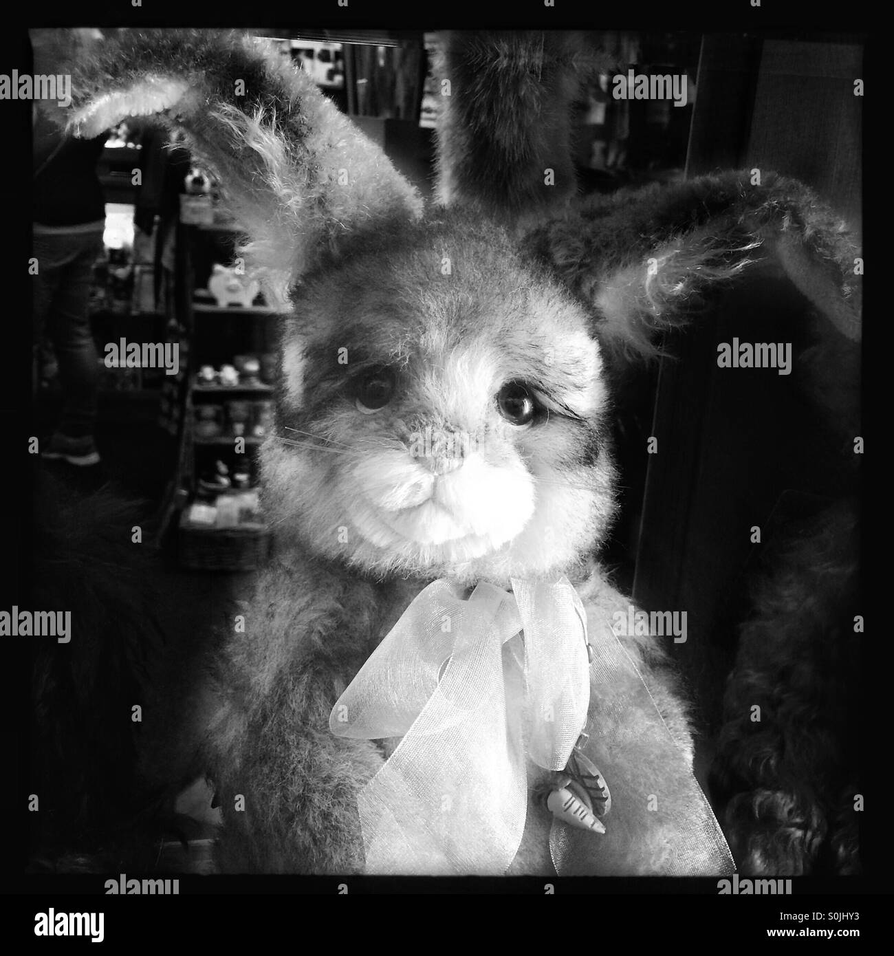 Bad bunny hi-res stock photography and images - Alamy