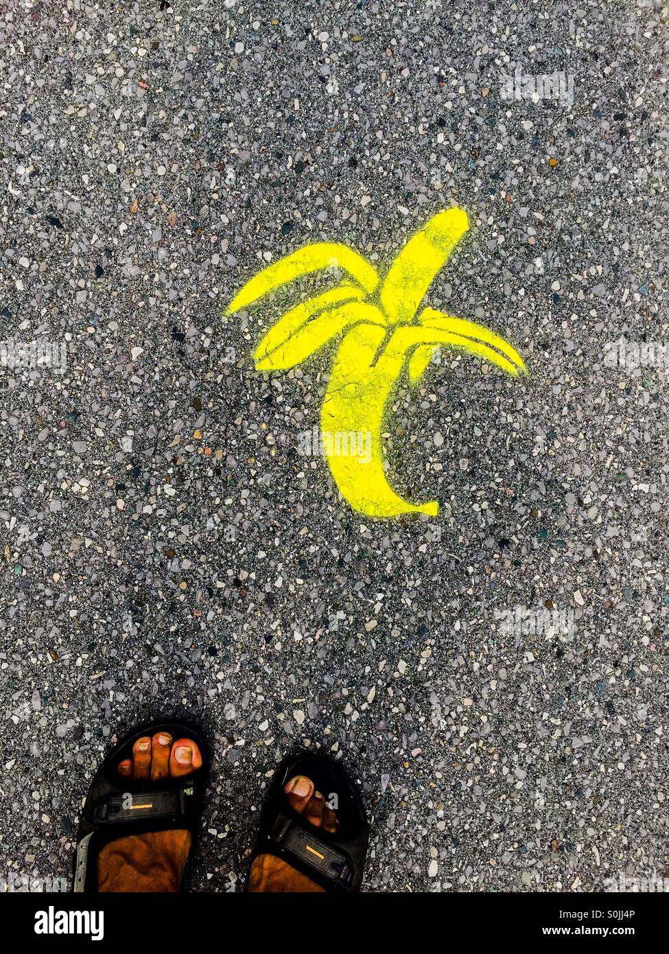 Everything Track & Field Review - Read Reviews And Share Your Experience