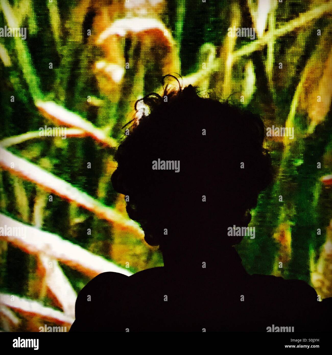 Human silhouette front hi-res stock photography and images - Alamy