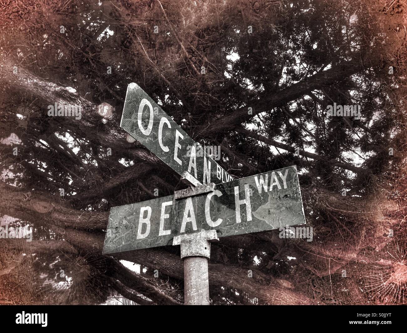 Street corner signs Stock Photo - Alamy