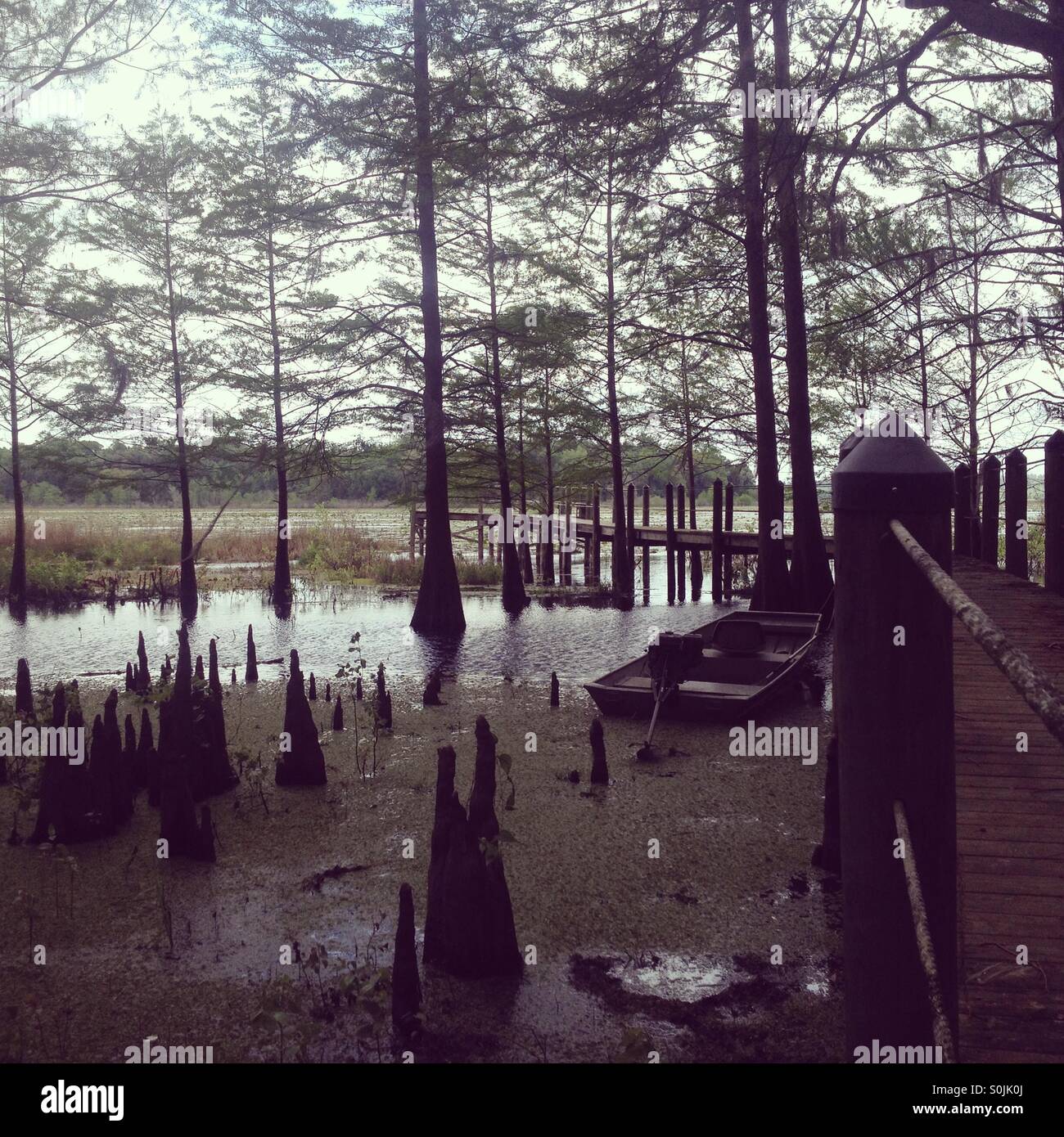 Big backyard hi-res stock photography and images - Alamy