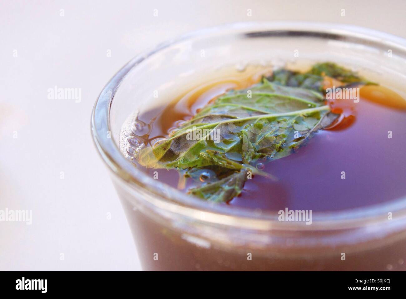 Natural mint tea in a glass Stock Photo - Alamy