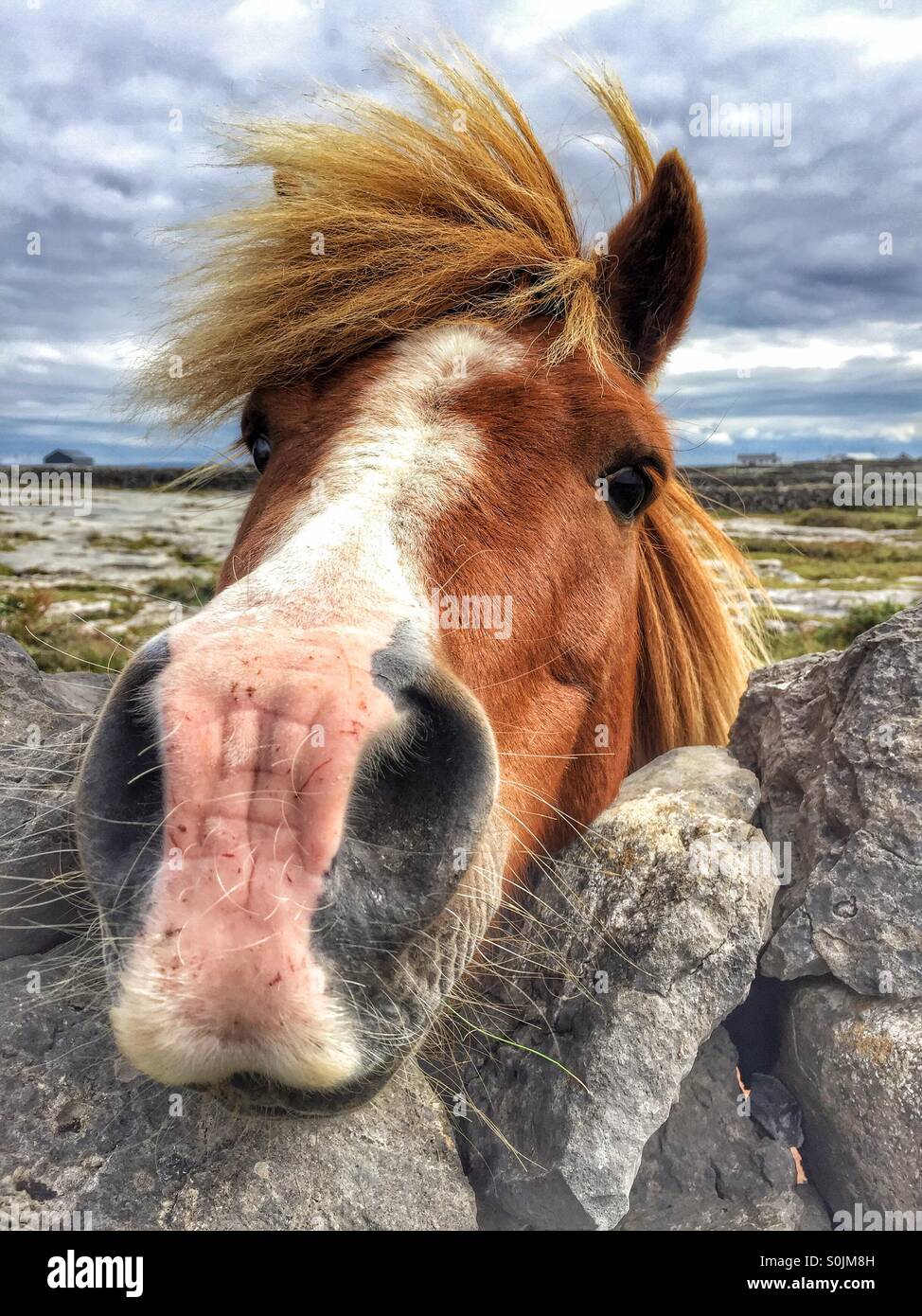Looking over the wall hi-res stock photography and images - Alamy