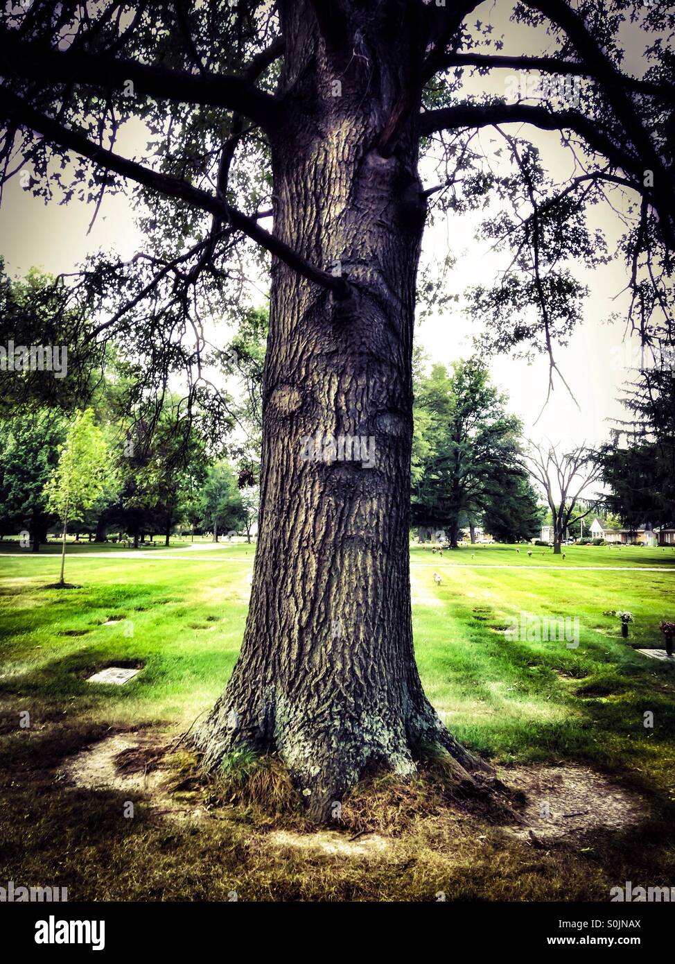 Sad face hi-res stock photography and images - Alamy