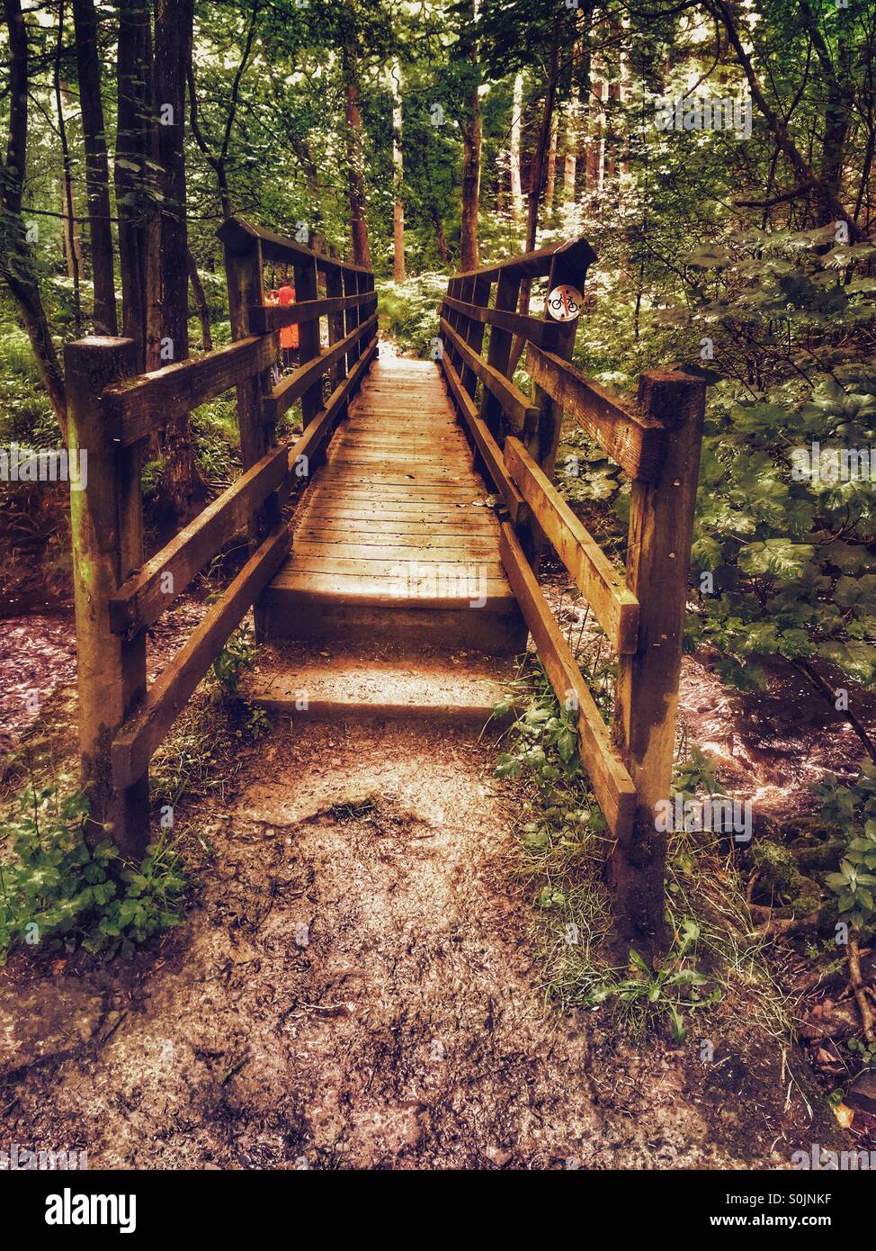 Bridge in the forest Stock Photo - Alamy
