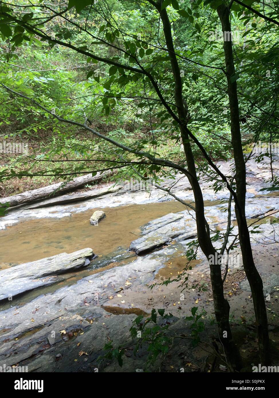 Creek hikes hi-res stock photography and images - Alamy