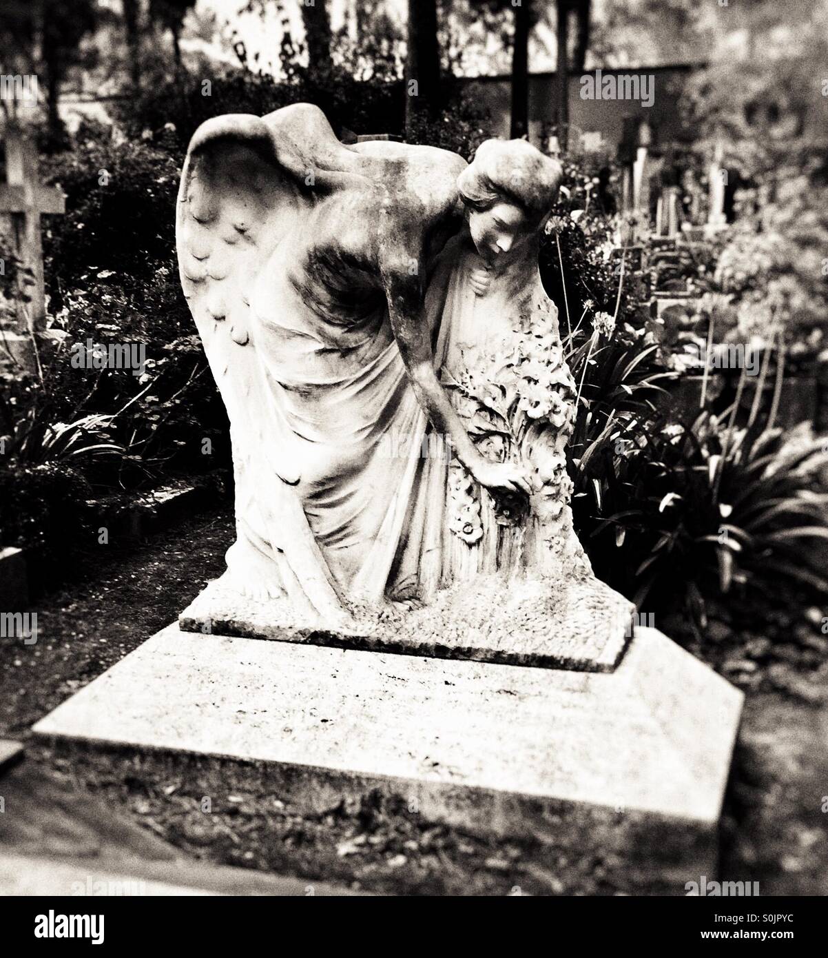 Angel sculptures hi-res stock photography and images - Alamy