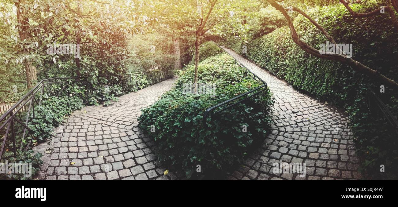 Going up, going down path Stock Photo - Alamy