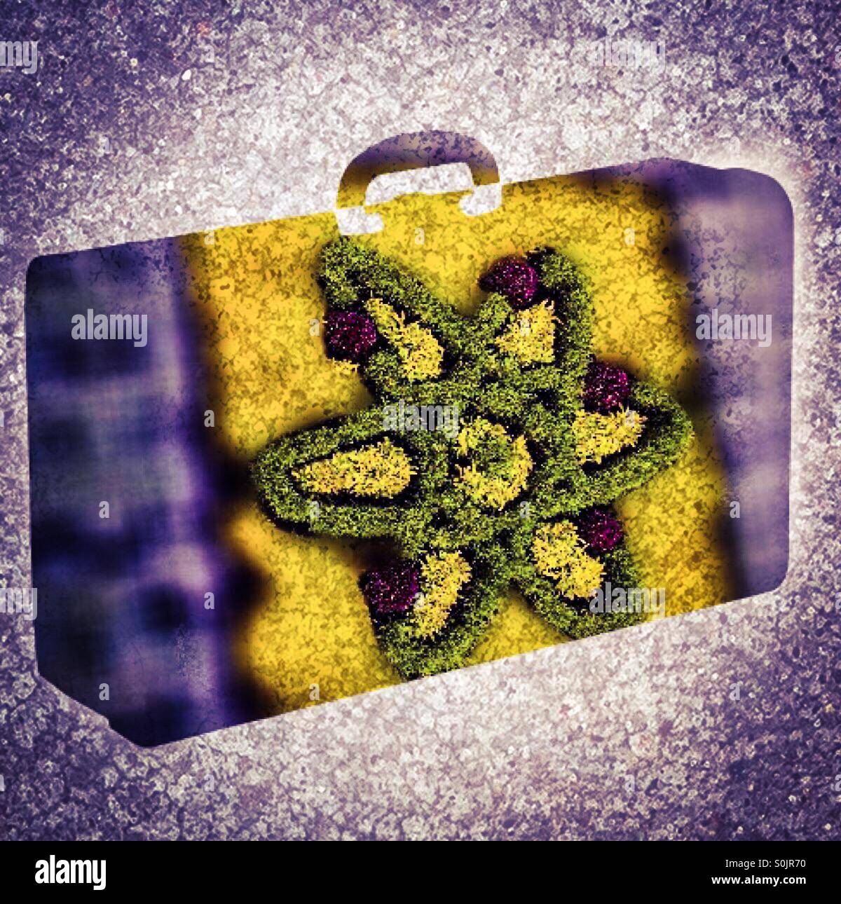 Physicist's suitcase. Icon of nuclear energy. Symbol of science. Live ...