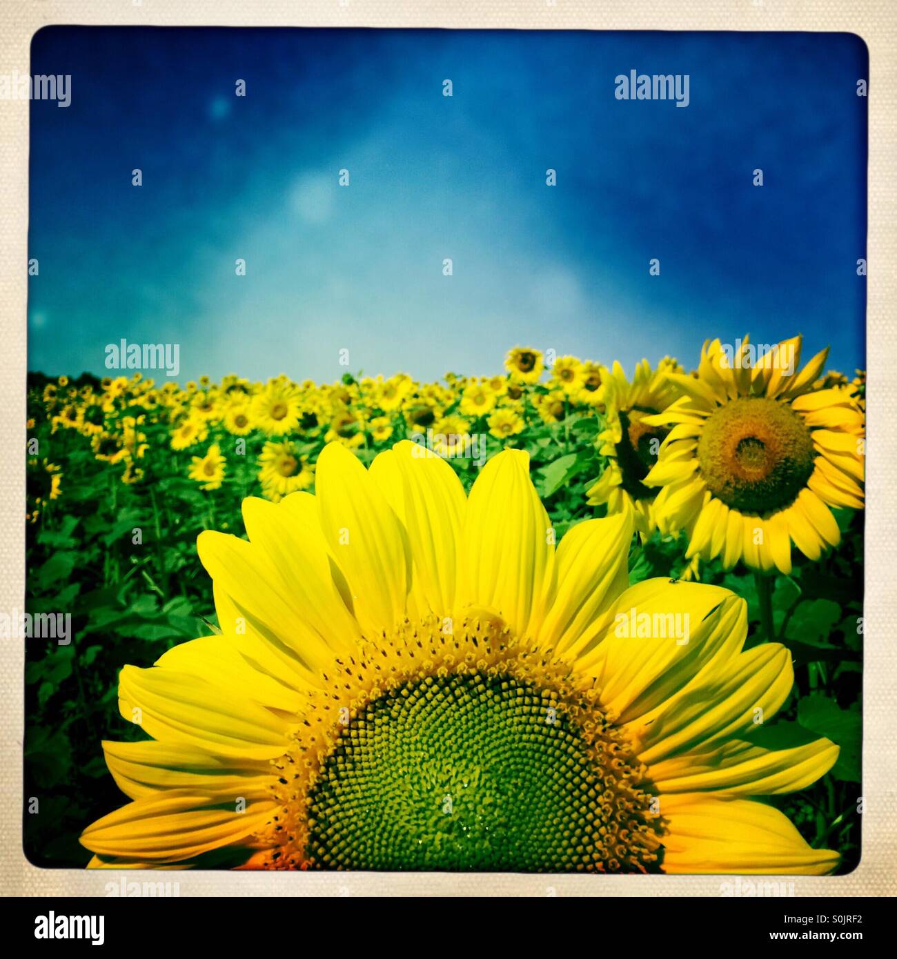 Half sun hi-res stock photography and images - Alamy