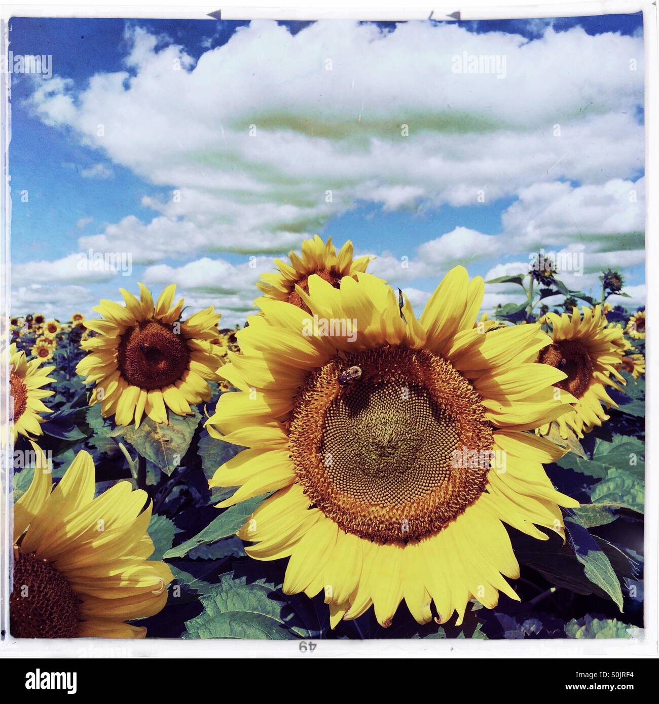 Last days of summer Stock Photo - Alamy