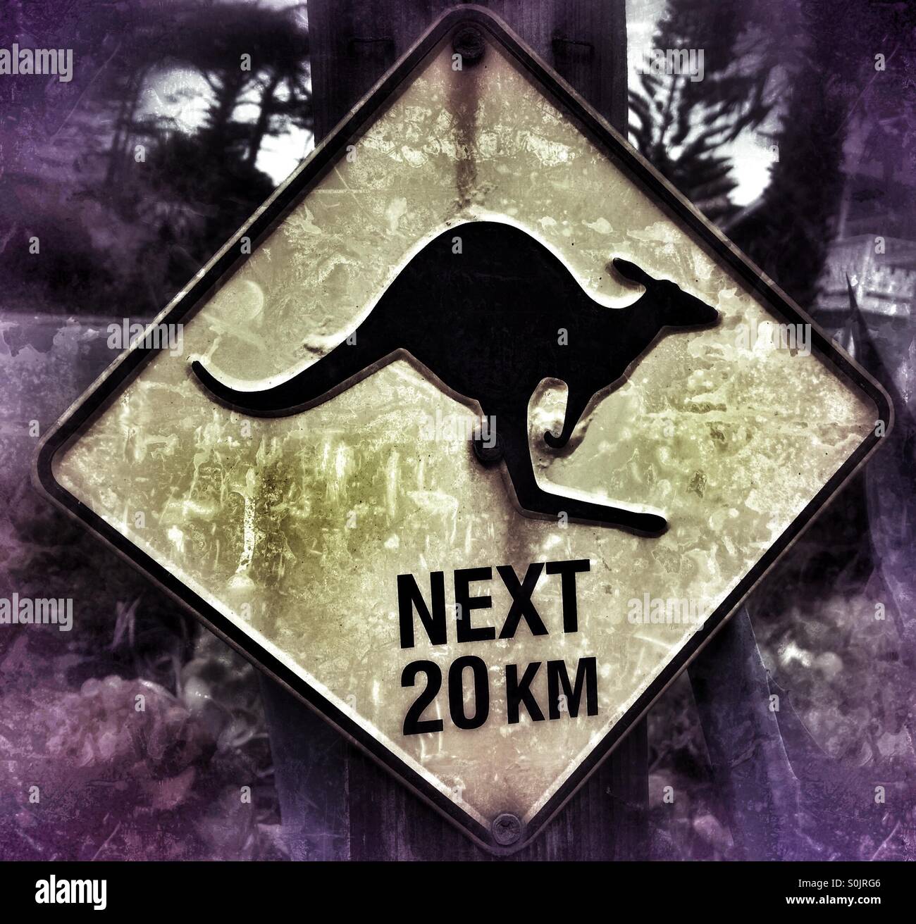 Kangaroo crossing hi-res stock photography and images - Alamy